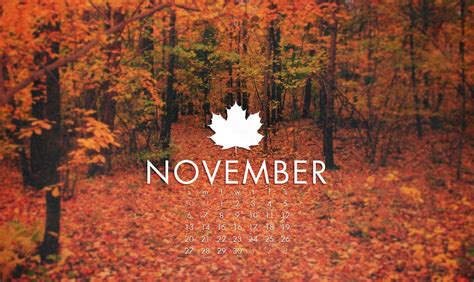 200 November Pictures