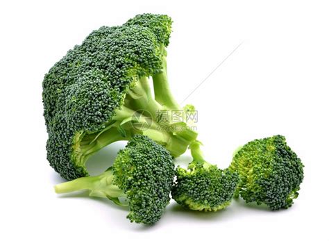 相邻的几支椰菜花椰兰被高清图片下载 正版图片507025871 摄图网