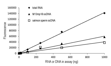 Accublue® Broad Range Rna Quantitation Kit Biotium