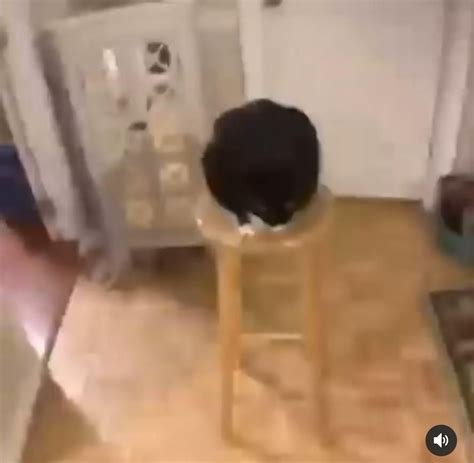 Run Owl  Run Owl Running Discover Share S Artofit