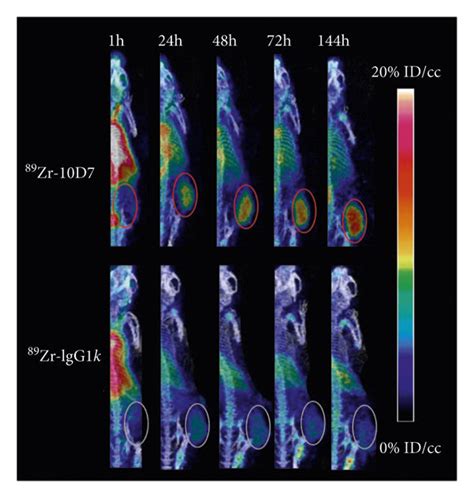 Cdcp1 Targeted Molecular Pet Ct Imaging Detects Cdcp1 Expressing