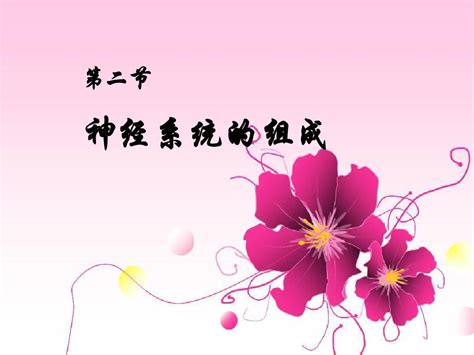 新人教版七年级初一生物下册第六章第2节神经系统的组成课件word文档免费下载亿佰文档网