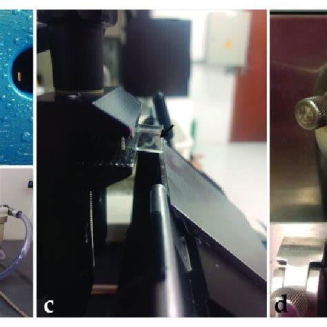 Historesin Processing A Embryo Embedded Into The Polyethylene Mold