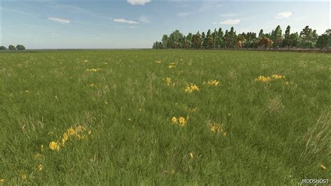 Farming Simulator 25 Grass Mods Search Modshost