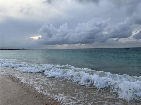 Cassandra J Photography