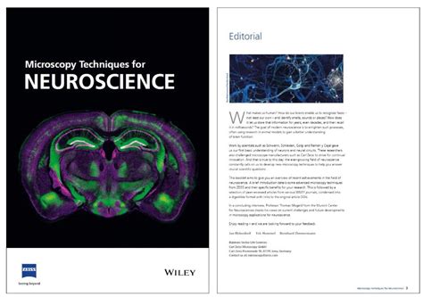 Microscopy Techniques For Neuroscience
