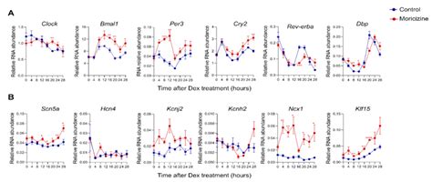 Real Time Qpcr Analysis Of Circadian And Cardiac Gene Expression