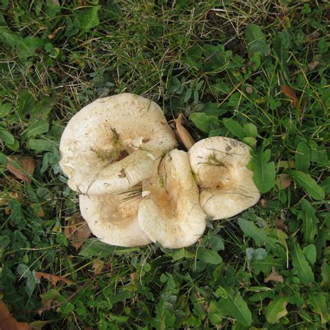 Huda Mohammed Youtube