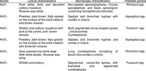 Identities Of The Hydrocarbon Utilizing Fungal Isolates Download Table
