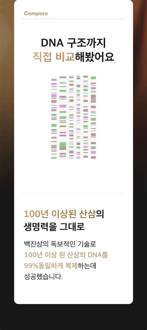 백진삼 산삼 건강식품 전문 1위 산삼진액