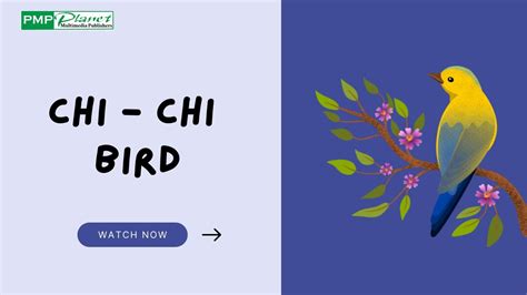 Chi Chi Bird Picture Story Environmental Sciences Class 1 Chapter 3 Youtube