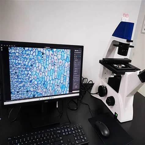 Fluorescence Biological Microscope Ml 52 Trinocular Inverted