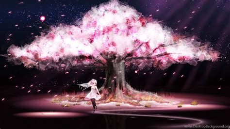 100 Cherry Blossom Tree Anime Wallpapers