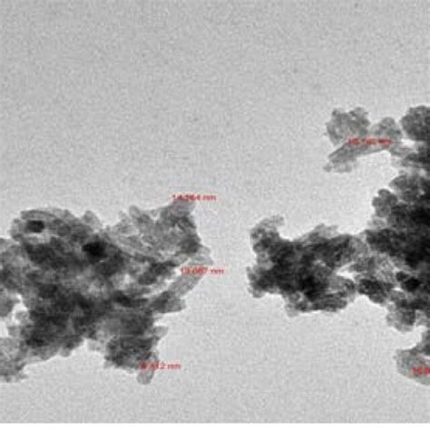 Tem Image Of Synthesized Biotic Superparamagnetic Nanoparticles From Download Scientific