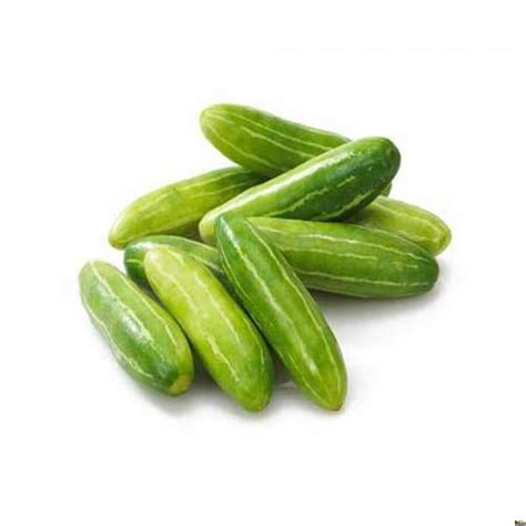 Tindori Abnn Fresh Expo