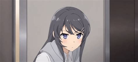 Bunny Girl Senpai Seishun Buta Yarō 