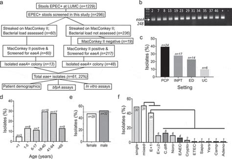 Full Article Quantitative Analysis And Virulence Phenotypes Of