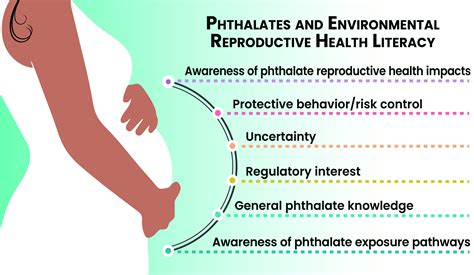 Perhls Of Wisdom Environmental Reproductive Health Literacy And