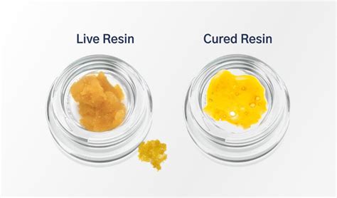 Cured Resin Vs Live Resin Two Extract Styles Green Goods