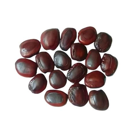 Buy Organic Imli Ke Beej Imli Beej Tamarind Seeds Online For Puja Pujasthan