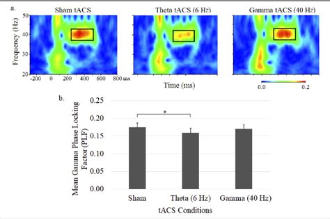 Figure 3 From Transcranial Alternating Current Stimulation Alters