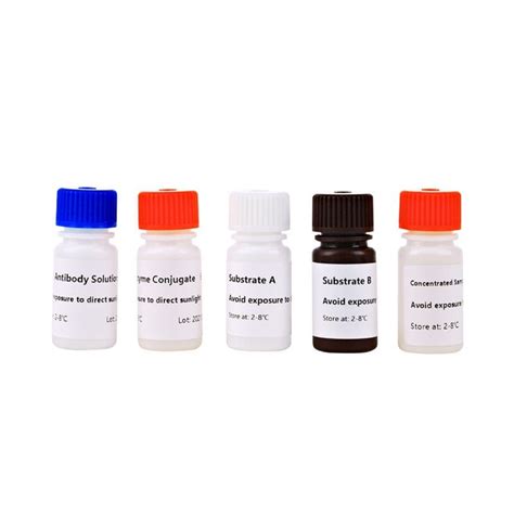 Grains And Feed Mycotoxin Ochratoxin A Elisa Test Kit