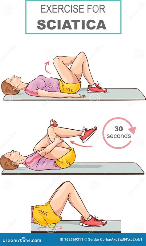 Vector Illustration Of A Exercises Sciatica Stock Vector Illustration