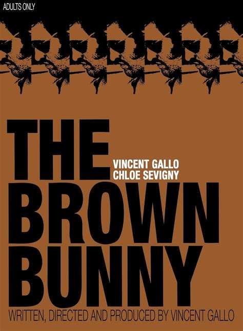 The Brown Bunny Francia Dvd Amazones Vincent Gallo Chloë