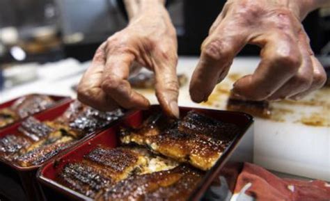 ဂျပန်နိုင်ငံ၊ ယိုကိုဟားမားမှာ ငါးရှဥ့်ကြောင့် လူ ၁၅၀ လောက် အစာအဆိပ်သင့