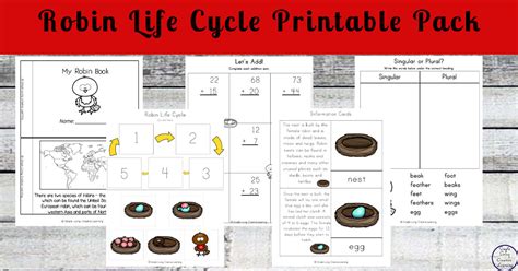 Robin Life Cycle Printable Pack Simple Living Creative Learning