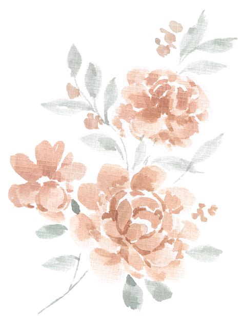 Dusty Rose Watercolor Flower Arrangement 29383936 Png