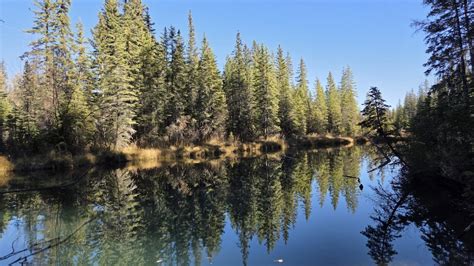 Danielle Savoni Ctvnews