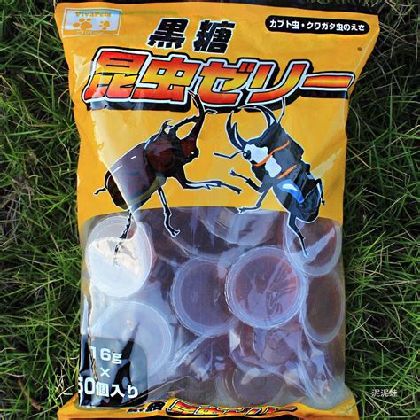 Beetle Insect Jelly Unicorn Fairy Adult Feed Spade Beetle Long Halberd Rainbow Ants Guard Palace
