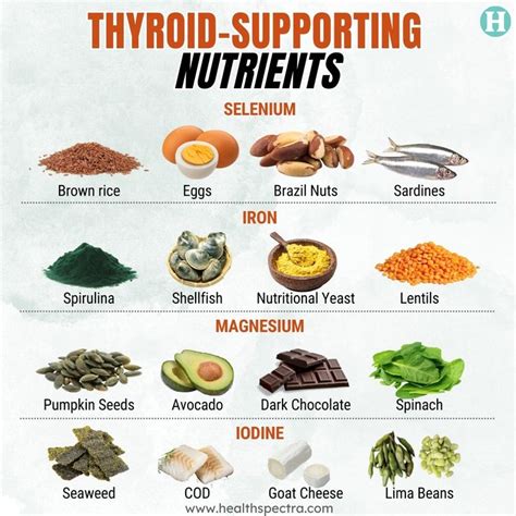 Thyroid Supporting Nutrients Thyroid Healthy Foods Thyroid Healing Foods Foods For Thyroid