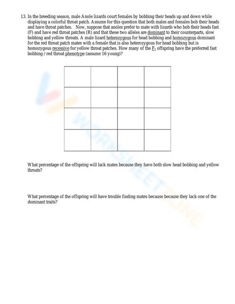 Practice With Dihybrid Crosses Worksheet