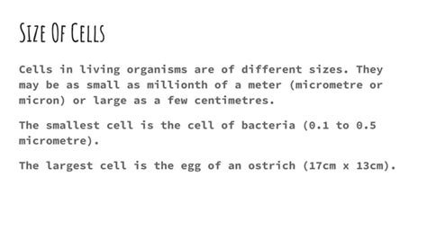 Ncert Class 8 Cell Structure And Function Pptx