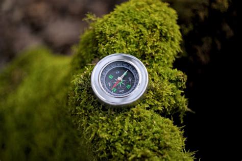 Compass Lying On A Stump Covered With Moss Stock Image Image Of