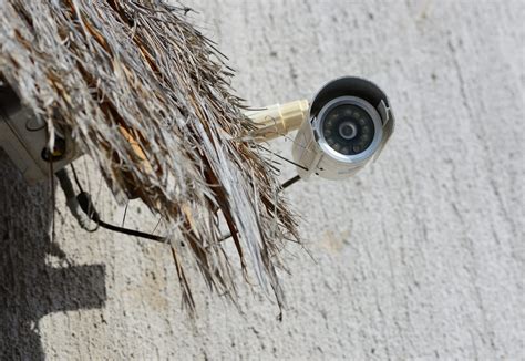 5 Of The Best Cellular Security Camera 2023 Reviewed