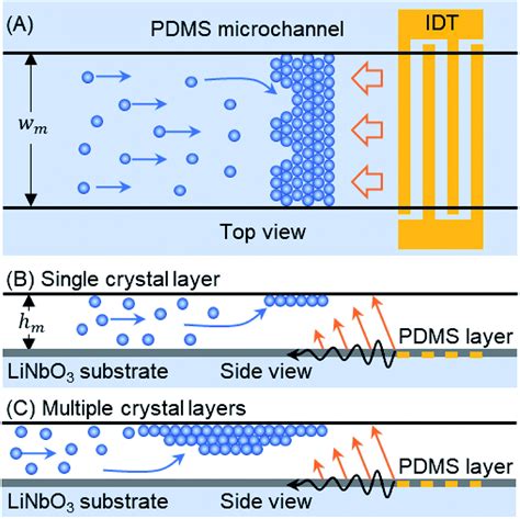 Microparticle Self Assembly Induced By Travelling Surface Acoustic