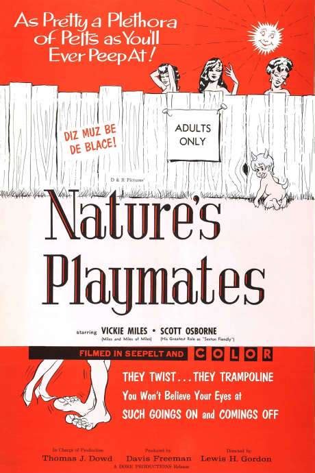 The Prince And The Nature Girl 1965 Full Movie Summary And Plot Explained