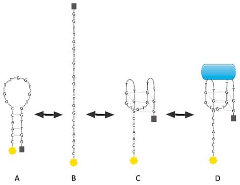G Quadruplex Forming Aptamers—characteristics Applications And
