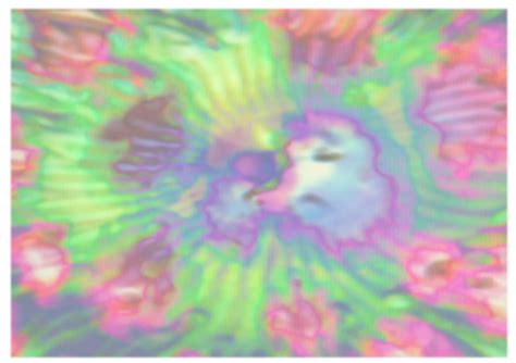 Suface Pattern Artist And Designer