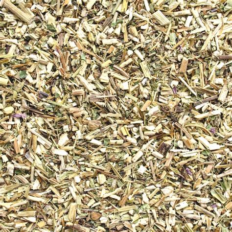 Echinacea Root Echinancea Augustifolia Purpurea Herbals For Horses