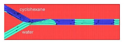 Numerical Simulation Result For The Segment Flow In A Y Shaped