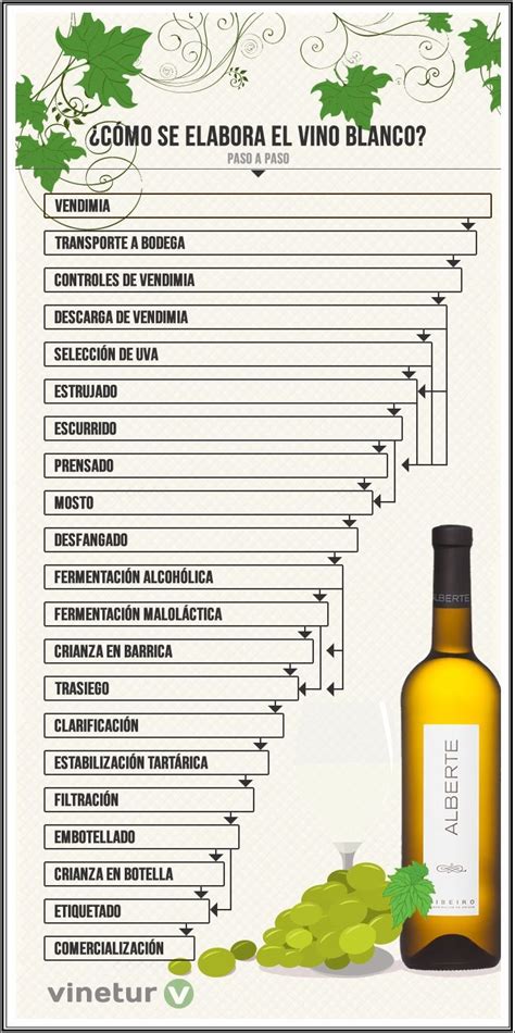 Vino Blanco Todo Lo Que Debes Saber Vino Blanco Elaboracion Del Vino Vino