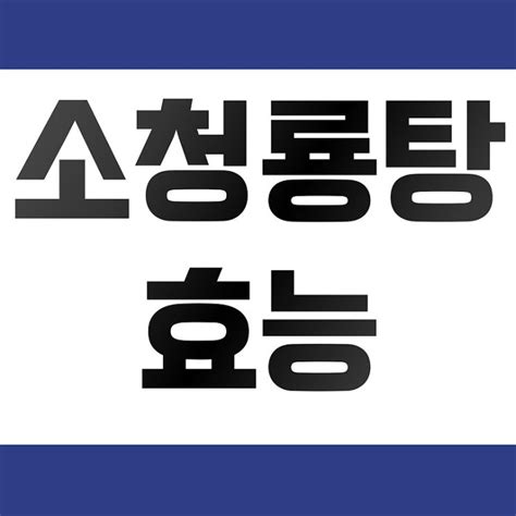소청룡탕 효능 부작용 가격은 엑스와 과립으로 알아보세요 네이버 블로그