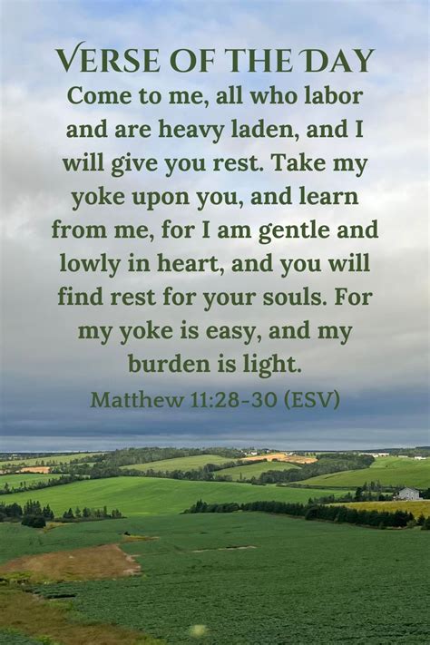 Matthew Bible Verses About Life