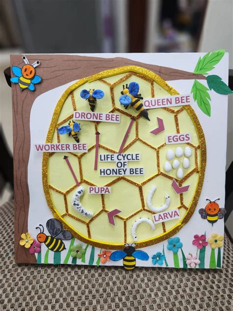 Life Cycle Of A Bee 🐝 In 2025 Honey Bee Life Cycle Honey Bee Drawing