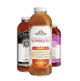 Barefoot Angie Bee Do You Kombucha I Do