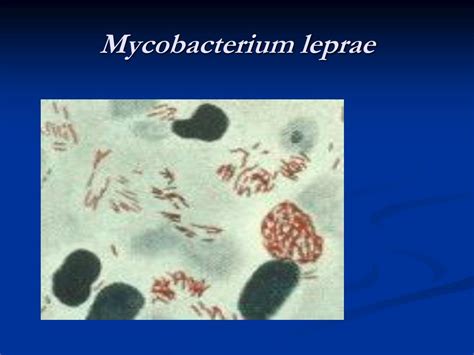 Ppt Objectives Powerpoint Presentation Free Download Id3741211